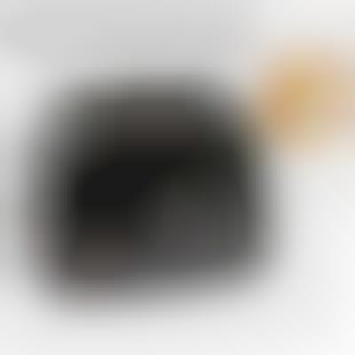 Totenkopf Skull Toaster- Burns a Skull and Crossbones in Your Toast: