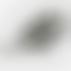 The Cell Phone Flask: