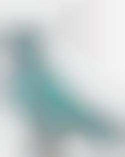 Remote Controlled Live Animals: Control the Flight of a Pigeon Using ...