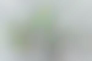 Self-Charging Batteries: IF-Battery Features Built-In Charger