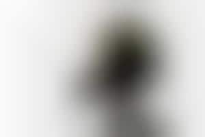 Cyborg Firefighter Armor: 'PyroPack' Makes Firemen Look Like "RoboCop"