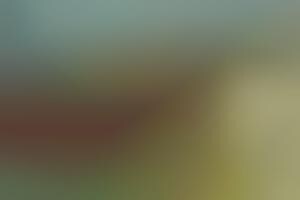 Cartoon Exhibitions: Pictopia Festival 2009 Celebrates Your Favourite ...