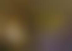 Cardboard Carpets: Ravishing Recycled Rugs Made of Flattened Boxes by ...