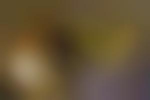 Cardboard Carpets: Ravishing Recycled Rugs Made of Flattened Boxes by ...