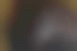 Tattooed Primates: Inked Monkeys, Apes & Gorillas Show Evolution of ...