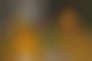 Abstract Alien Fashion: Bright Yellow Latex Balloon Clothes from Blackstore