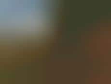 Sugarcane Ethanol: Brazil is Ready to Share Their Sweet Biofuel Technology