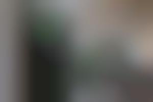 Living Wall Art: Hokkaido Sanyu Corp Creates The River Re Wall Made of Moss