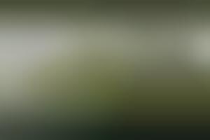 Paris in 2030?: Blueprints of the Future Reveal a Literally Green ...