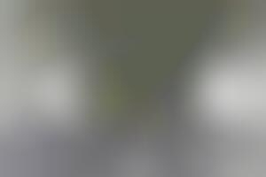 Comfortable Boulder Seating: 'Enza' Rocky Poufs for Organic Lounging by ...