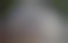 Anomalous Animals: Some of Earth's Creatures Are Simply Out of This World