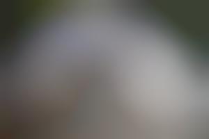 Anomalous Animals: Some of Earth's Creatures Are Simply Out of This World