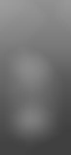 Anatomical Origami: Papercraft Skeleton Made From 1 Sheet of Paper