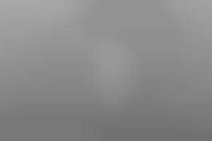 Anatomical Origami: Papercraft Skeleton Made From 1 Sheet of Paper