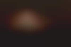 Overnight Museum Stays : museum stay