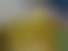 Zesty Non-Alcoholic Beverages : Slange Var