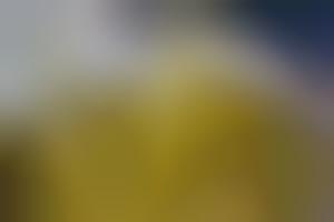 Zesty Non-Alcoholic Beverages : Slange Var