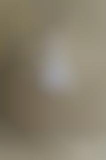 90s-Inspired Casual Earthy Fashion : nonnative Summer