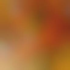 Spiked Kombucha Cocktails : Willie's Superbrew