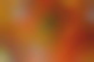 Spiked Kombucha Cocktails : Willie's Superbrew