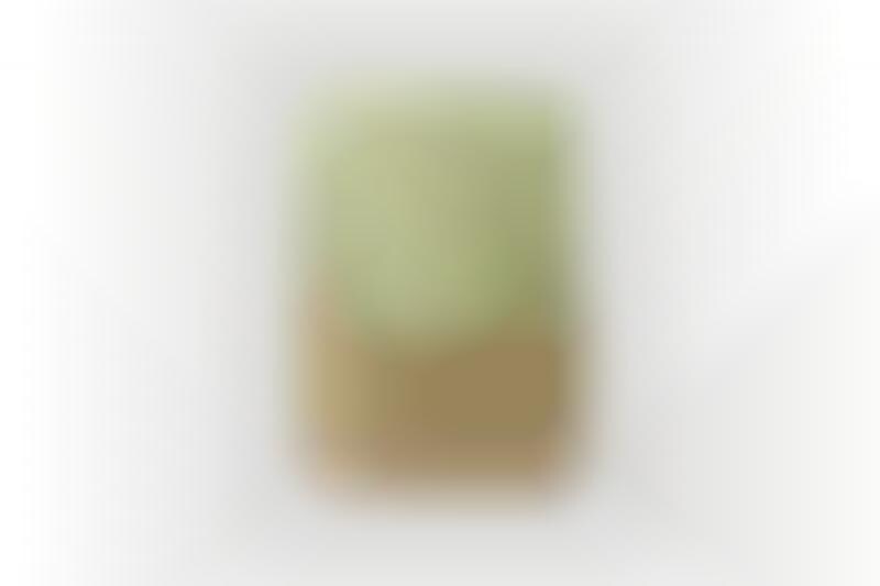 20 Ceramic Design Innovations