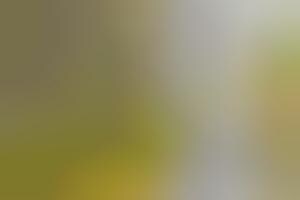 Zero-Calorie Tea Refreshments : Peace Tea ZER-OH Pineapple Groove