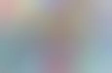 Functional Frozen Fruit Bars : Fruit Infusions