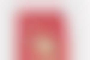 Snackable Cheese Rolls : rolls of cheese