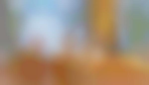 Internationally Inspired QSR Menus : McDonald's Worldwide Favorites Menu