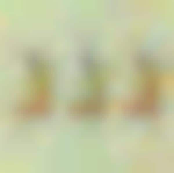 Fruity Matcha Bars : matcha bar