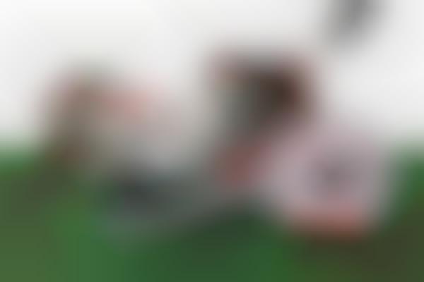 Top 100 Pets Trends of 2019