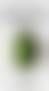 Avocado-Ripening Print Ads : print ad