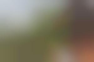 Rosé Brand Influencer Competitions : rosé influencer