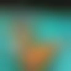 Fried Chicken Pool Floats : Southern Fried Chicken pool float