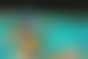 Fried Chicken Pool Floats : Southern Fried Chicken pool float