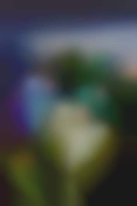 Synesthesia-Inspired Candles : Chromesthesia