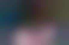 Plasticized Human Bodies: Anatomy-Inspired 'Body Worlds' is ...