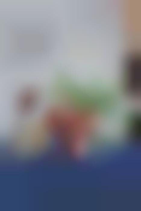 Unique Morphing Plant Pots : Morphing Plant Pots