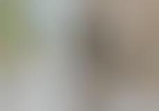 One-Button Coffee Brewers : Ratio Six Coffee Maker