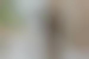 One-Button Coffee Brewers : Ratio Six Coffee Maker