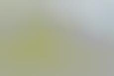 Extravagantly Experimental Chairs : Experimental Chair