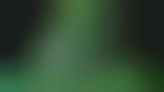 Console-Themed Body Wash : Xbox Body wash