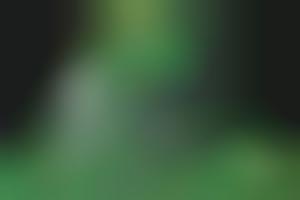 Console-Themed Body Wash : Xbox Body wash