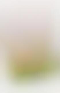 Children's Botany Kits : Botanist Kit