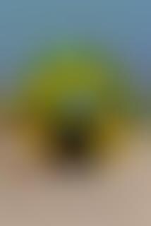 Artistic Cut-Out Mirrors : cut-out mirror