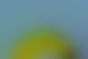 Artistic Cut-Out Mirrors : cut-out mirror