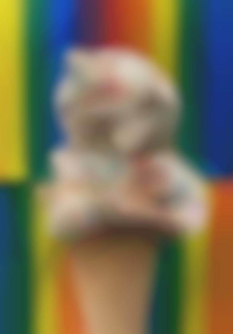 60 Colorful Pride Products