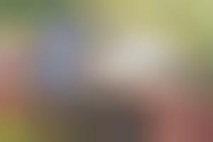 Intelligent Meal-Tracking Thermometers : Mastrad Meat Thermometer