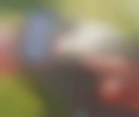 Intelligent Meal-Tracking Thermometers : Mastrad Meat Thermometer