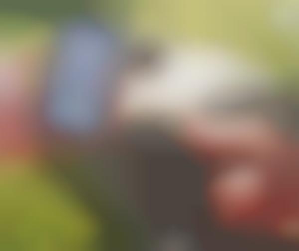 Intelligent Meal-Tracking Thermometers : Mastrad Meat Thermometer